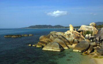 Home - balancemag.net